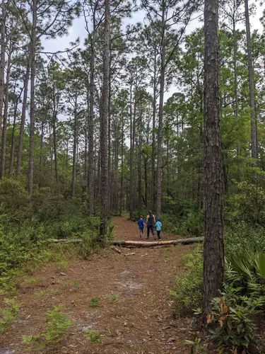 Best Hikes and Trails in Victoria Bluff Heritage Preserve | AllTrails