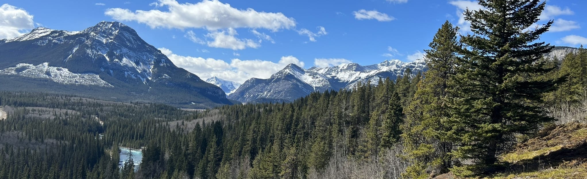 Stoney Trail Loop: 147 Reviews, Map - Alberta, Canada | AllTrails