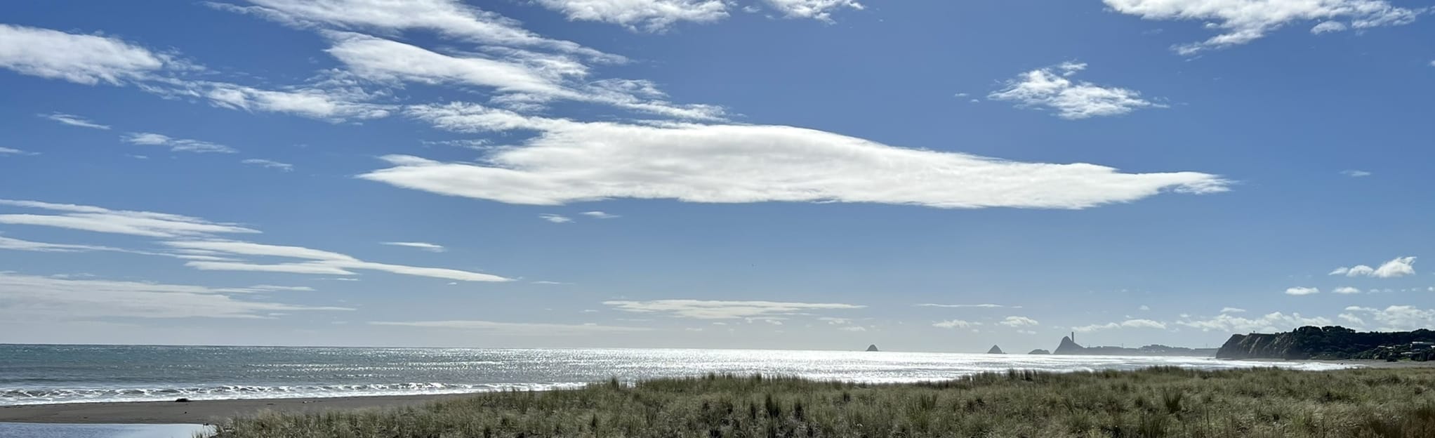 Oakura Beach Walk, Taranaki, New Zealand - 5 Reviews, Map | AllTrails