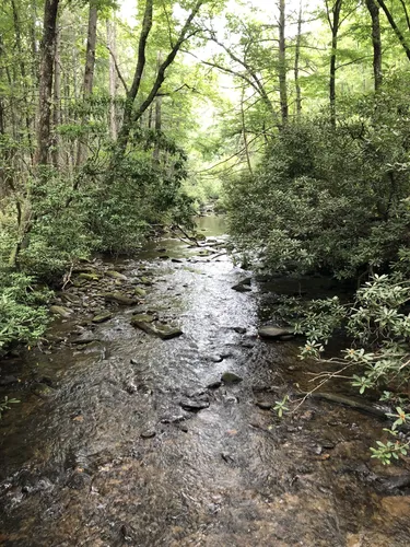 Best Hikes and Trails in Mills River | AllTrails