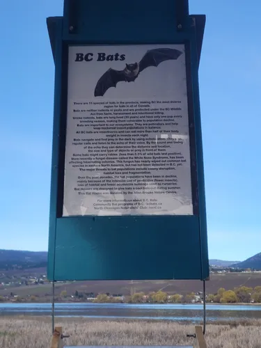 Best Hikes and Trails in Swan Lake Nature Reserve | AllTrails