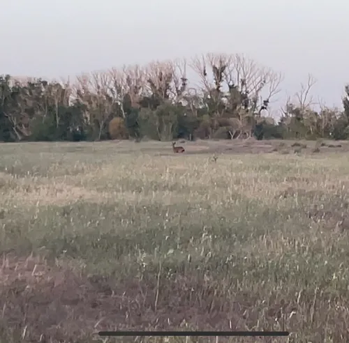 Best Hikes and Trails in O'Neill Forebay Wildlife Area | AllTrails