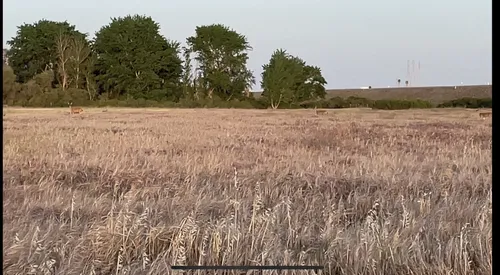 Best Hikes and Trails in O'Neill Forebay Wildlife Area | AllTrails