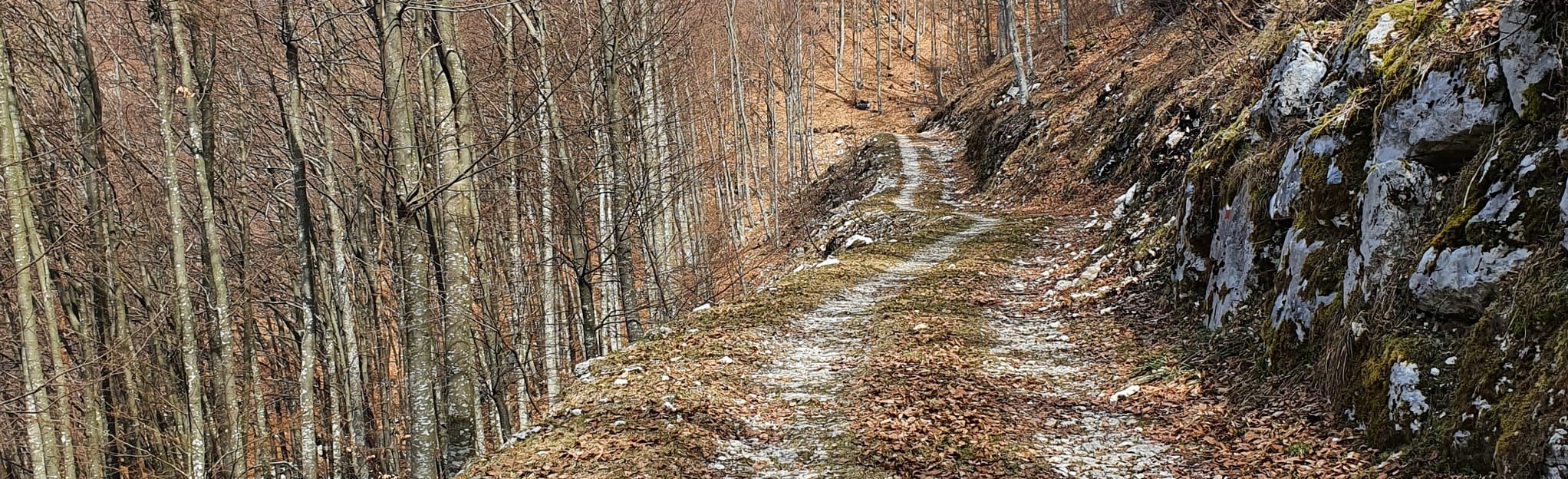 Val di Resia, Friuli-Venezia Giulia, Italy - Map, Guide | AllTrails