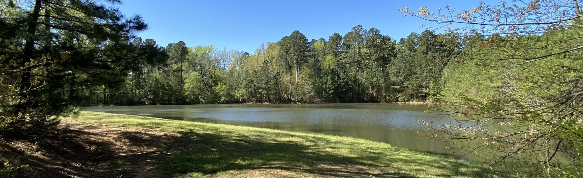 Atlanta Sports Complex MTB Trails, Texas - 16 Reviews, Map | AllTrails