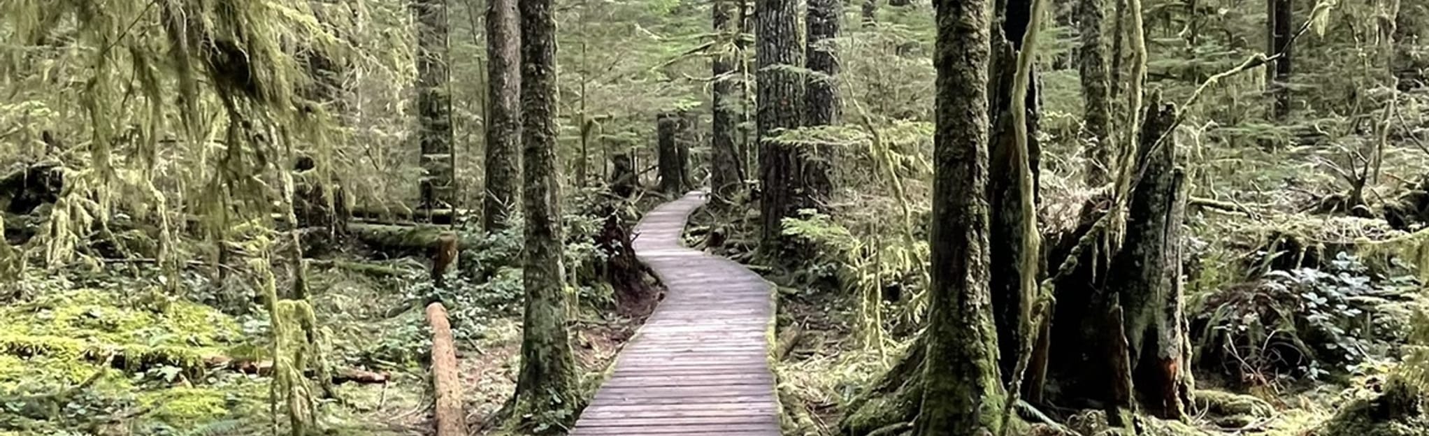 Mystery Falls Loop: 361 Reviews, Map - British Columbia, Canada | AllTrails