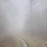 Lost Turkey Trail, Pennsylvania - 64 Reviews, Map | AllTrails