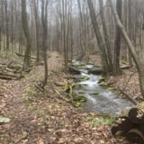 Lost Turkey Trail, Pennsylvania - 64 Reviews, Map | AllTrails