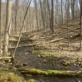 Lost Turkey Trail, Pennsylvania - 64 Reviews, Map | AllTrails