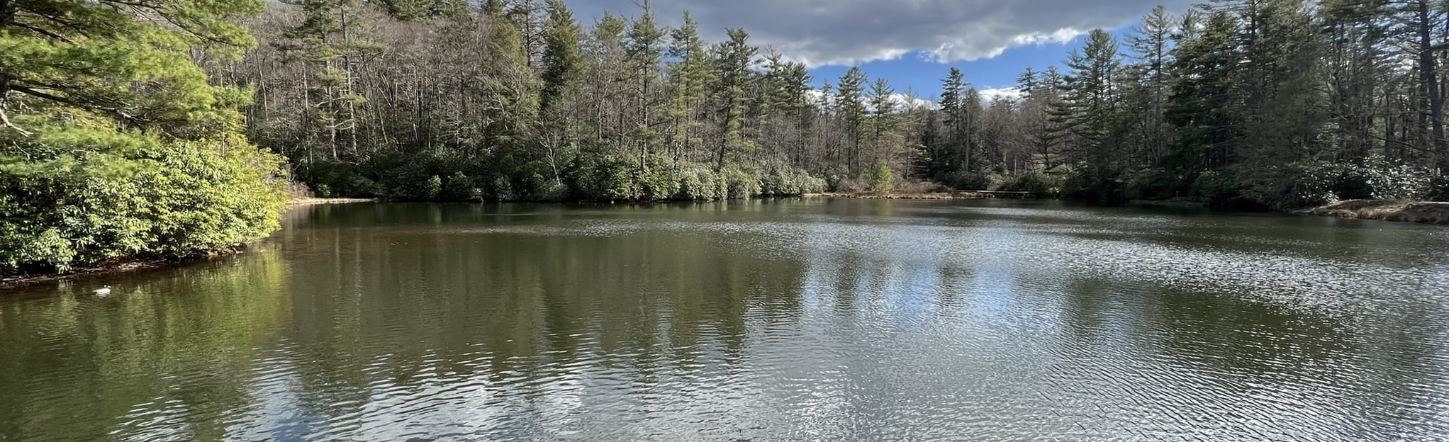 Highlands Biological Garden Loop, North Carolina - 92 Reviews, Map ...