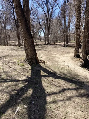 Best Hikes and Trails in Widefield Park | AllTrails