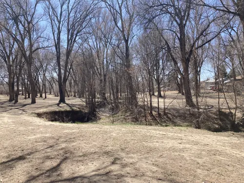 Best Hikes and Trails in Widefield Park | AllTrails