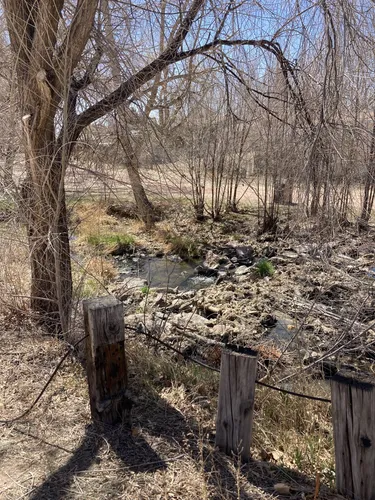 Best Hikes and Trails in Widefield Park | AllTrails