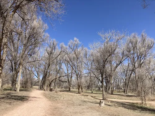 Best Hikes and Trails in Widefield Park | AllTrails