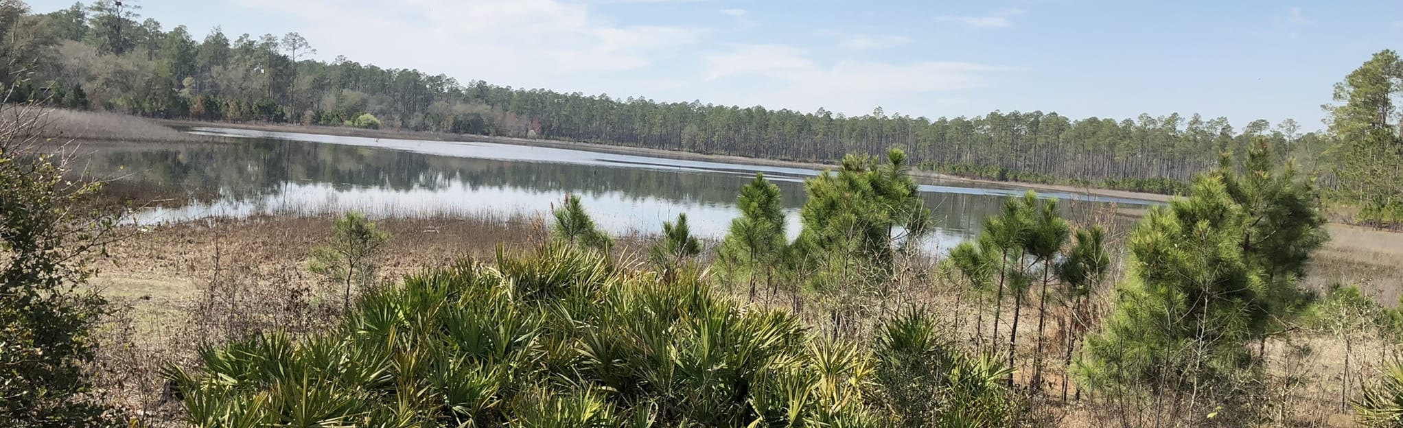 Gar Pond Trail: 9 fotos - Flórida | AllTrails