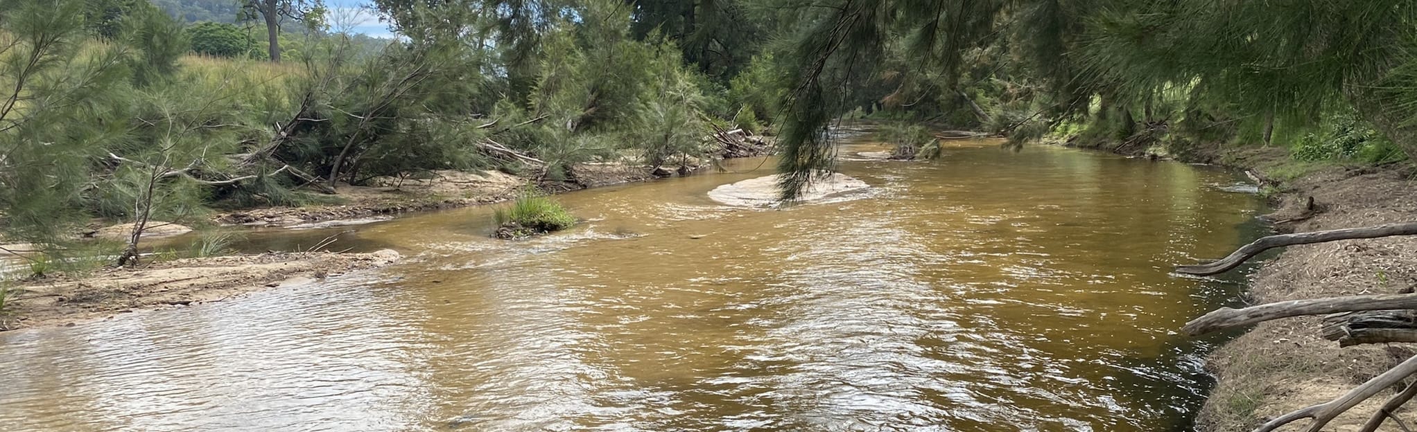 Spring Gully Firetrail: 7 Photos - New South Wales, Australia | AllTrails
