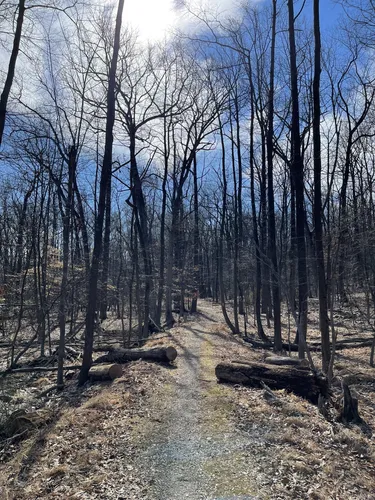 10 Best Trails and Hikes in Reading | AllTrails