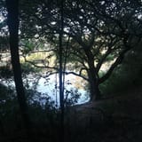 Majik Forest via Amandel Dam, Western Cape, South Africa - 24 Reviews ...