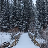 Mount Lorette Pond Trail, Alberta, Canada - 204 Reviews, Map | AllTrails