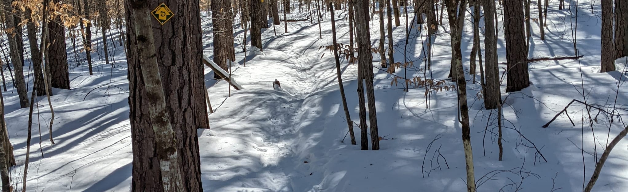 Cooks Pond and Cooks River Loop, New Hampshire - 118 Reviews, Map ...