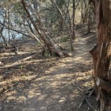 Woodway Trail, Texas - 298 Reviews, Map | AllTrails