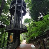 Bukit Nanas Forest Reserve Trail, Kuala Lumpur, Malaysia - 32 Reviews ...