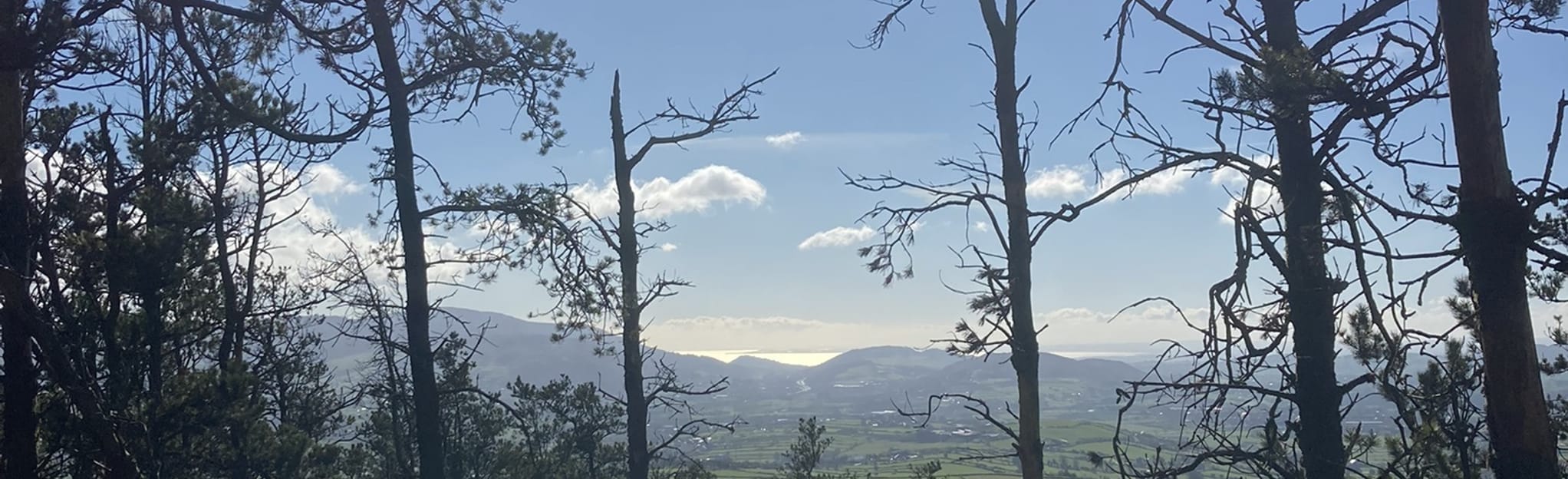 Camlough Mountain: 2 Reviews, Map - Newry, Mourne and Down, Northern ...