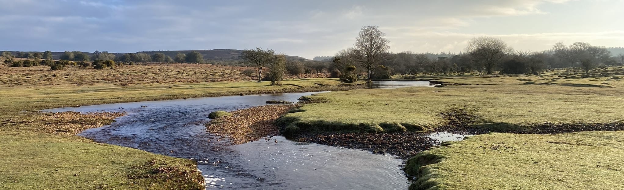 Abotts Well Circular Walk, Hampshire, England - 48 Reviews, Map | AllTrails