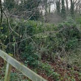 Kempley to Dymock Circular, Gloucestershire, England - 19 Reviews, Map ...