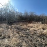 Finzel Swamp Trail, Maryland - 40 Reviews, Map | AllTrails