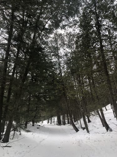 2023 Best trails in North Point Nature Preserve | AllTrails