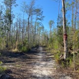 Sabal Palm Trail, Florida - 143 Reviews, Map | AllTrails
