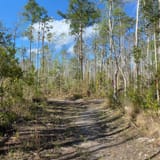 Sabal Palm Trail, Florida - 143 Reviews, Map | AllTrails