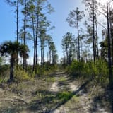 Sabal Palm Trail, Florida - 143 Reviews, Map | AllTrails