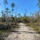 Sabal Palm Trail, Florida - 143 Reviews, Map | AllTrails