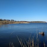 Fort Howard Park Trail, Maryland - 216 Reviews, Map | AllTrails