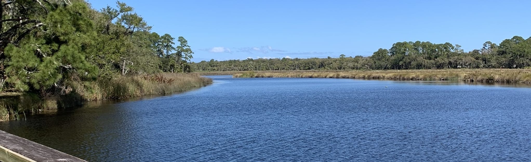 Bulow Ruins Paddle Route: 4 Reviews, Map - Florida | AllTrails