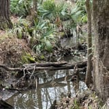 Copperhead Loop Trail, Texas - 32 Reviews, Map | AllTrails