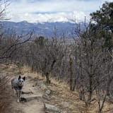 Palmer Park Outer Loop Trail, Colorado - 625 Reviews, Map | AllTrails