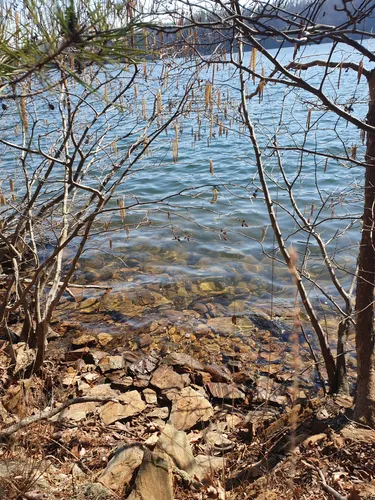 Best Hikes and Trails in Goose Point Park | AllTrails