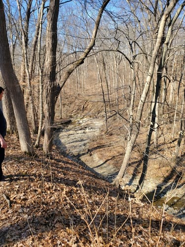 Best Hikes and Trails in Stanberry Park | AllTrails