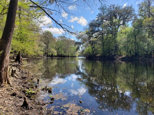 2023 Best trails in River Rise Preserve State Park | AllTrails