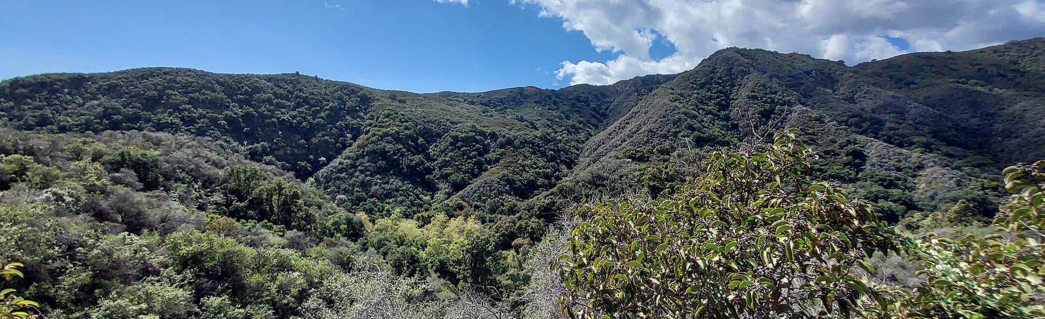 Murphy Ranch Trail, California - 3,524 Reviews, Map | AllTrails