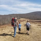 Whigg Meadow via Mud Gap Trail, North Carolina - 105 Reviews, Map ...