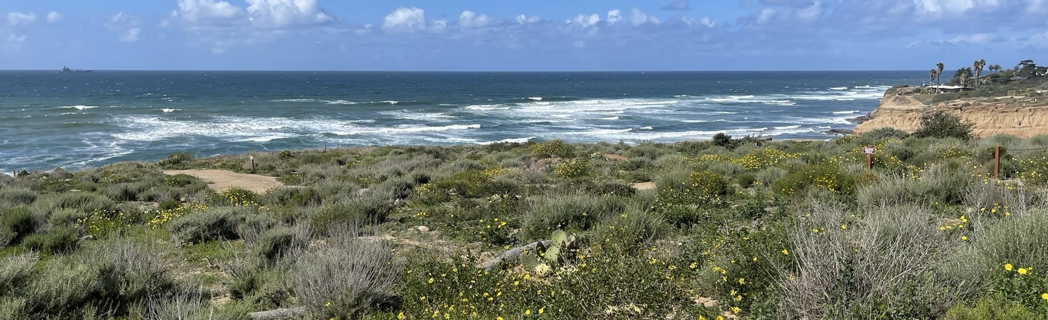 Sunset Cliffs Park Trail, California - 823 Reviews, Map | AllTrails