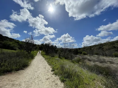 10 Best Trails and Hikes in Fallbrook | AllTrails