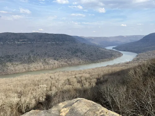 10 Best Trails and Hikes in Chattanooga | AllTrails