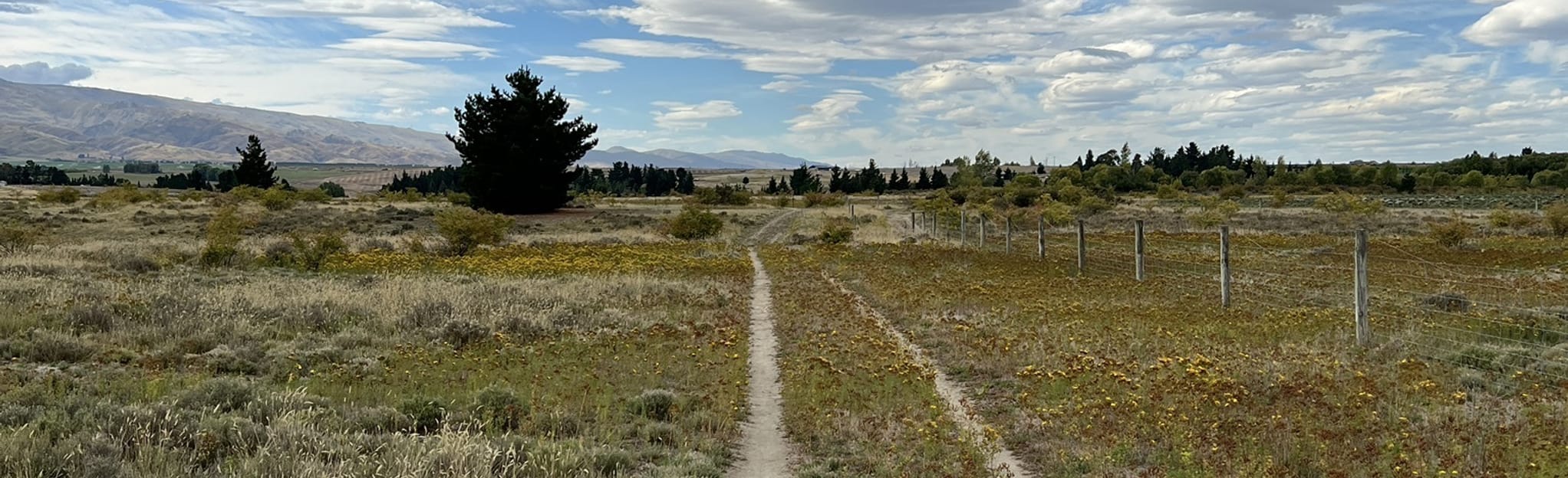 Alexandra Aerodome Loop Walk, Otago, New Zealand - 5 Reviews, Map ...