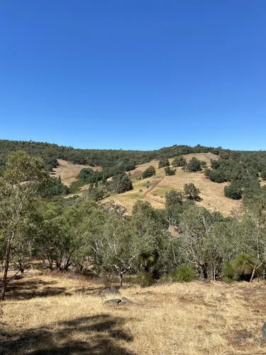 2023 Best 10 Mountain Biking Trails in Perth | AllTrails