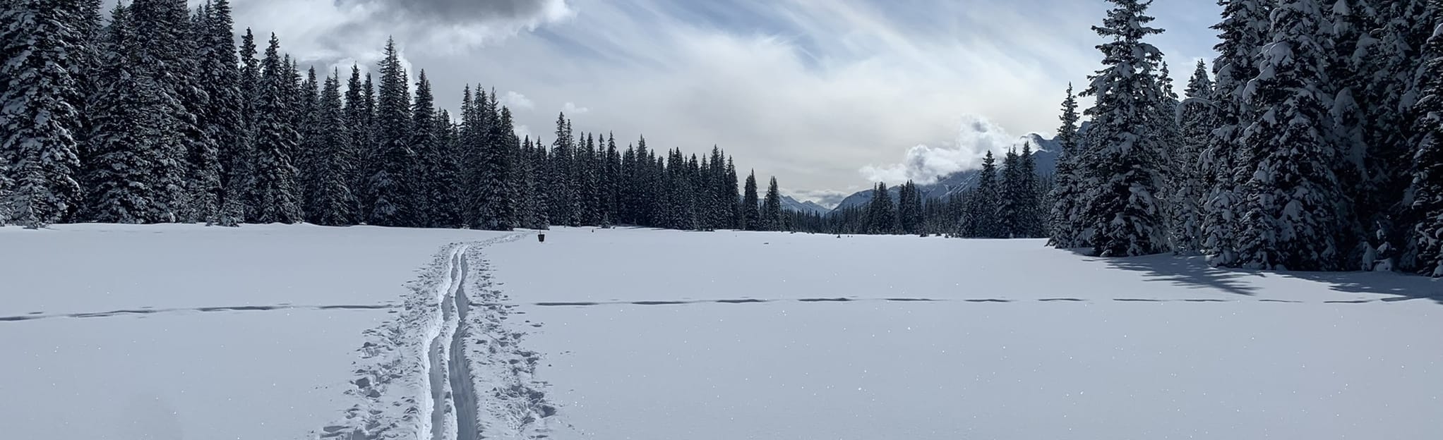Elk Pass Snowshoe Trail, Alberta, Canada - 63 Reviews, Map | AllTrails